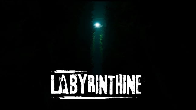 Labyrinthine Controller Support | Backbone